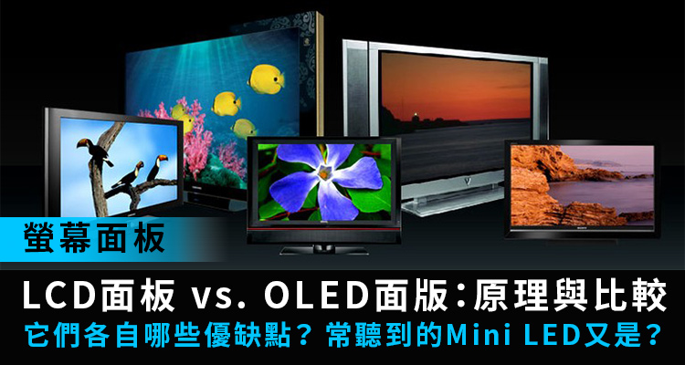【螢幕介紹】LCD、OLED 面板原理與比較！Mini LED 又是什麼？