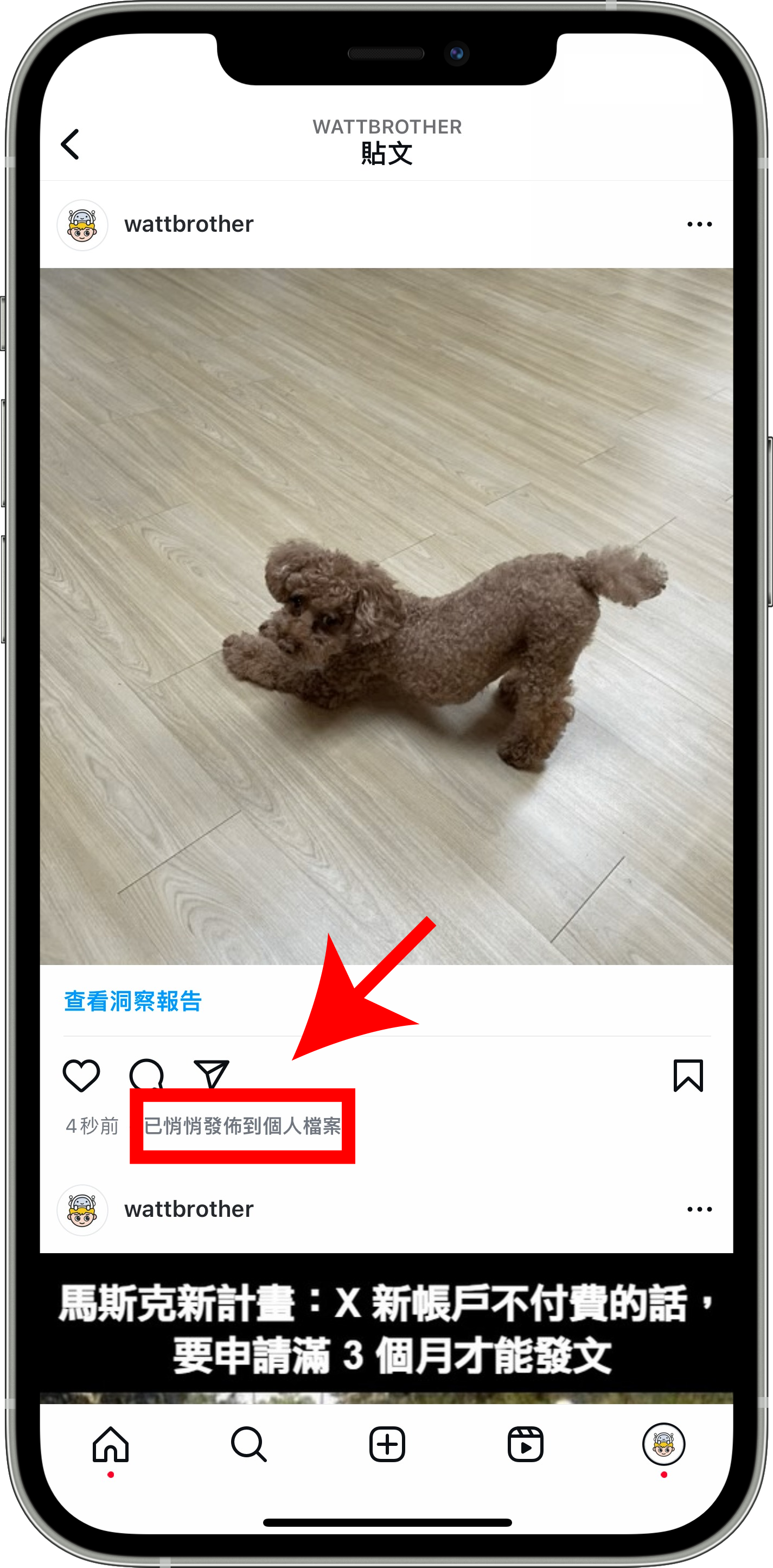 【悄悄發布】IG 發文不被發現！直接發佈到個人檔案怎麼用？