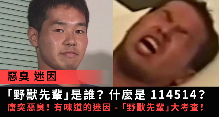 【惡臭迷因】「野獸先輩」是誰？114514 是什麼意思？常見梗介紹